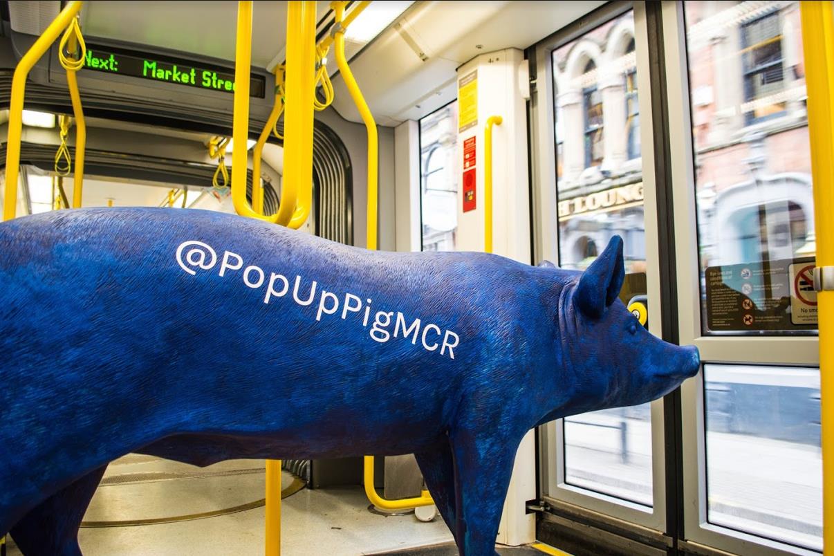 Blue Pig’s bacon is saved! Much loved bar returns via a pop-up | News ...