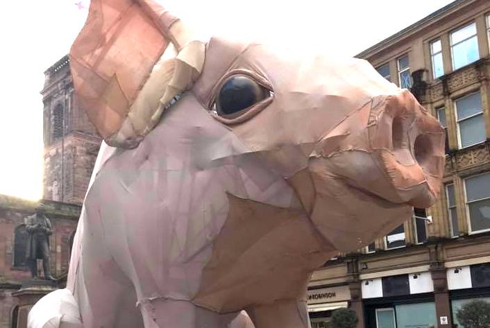 Welcome in the Chinese Year of the Pig in Manchester city centre | News ...